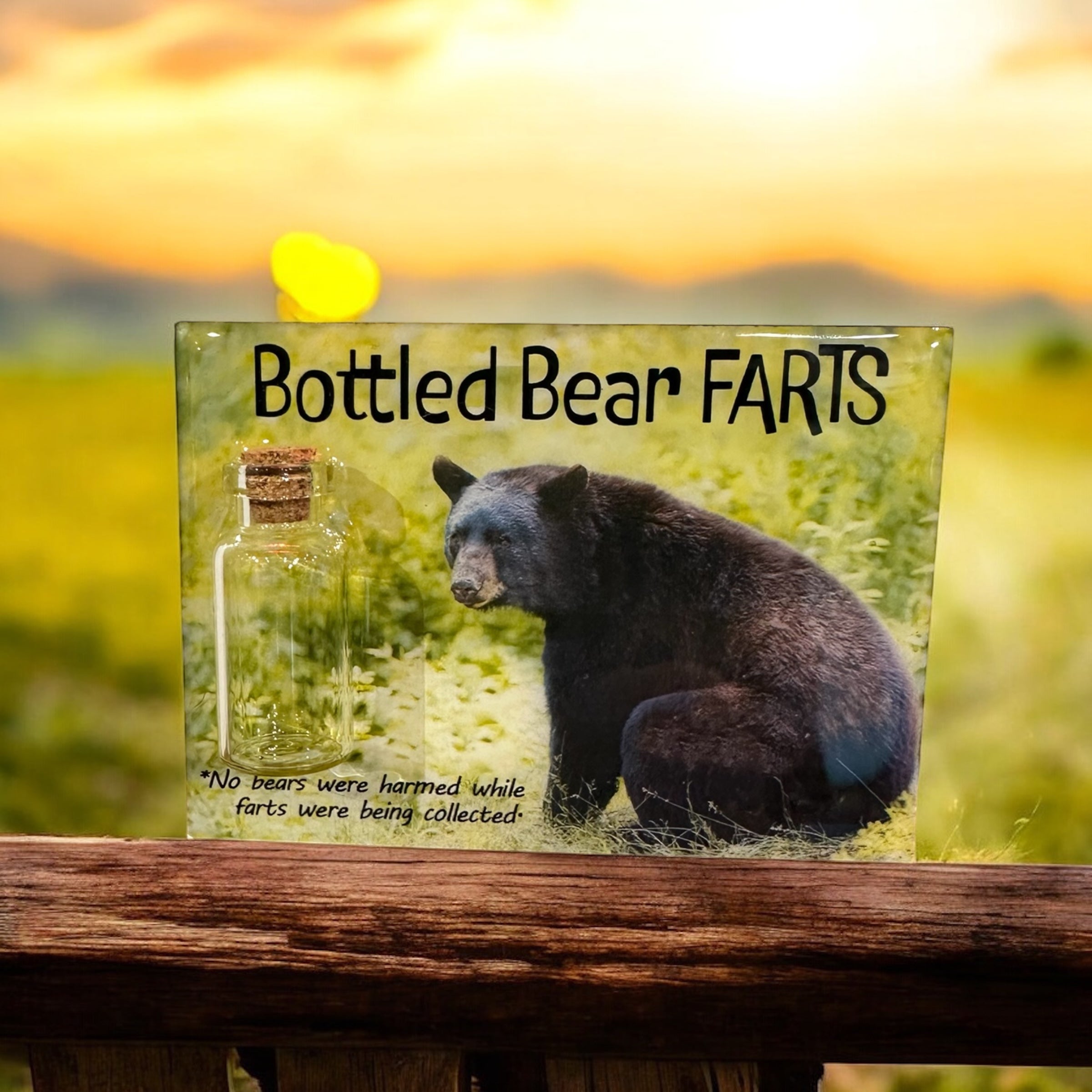 Bottled Bear Farts Magnet | Muddy Moose Market